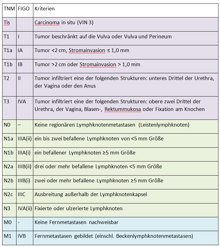 Vulvakarzinom :: Obsgyn-Wiki